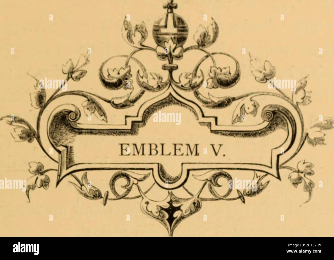 Abuse of emblems hi-res stock photography and images - Alamy