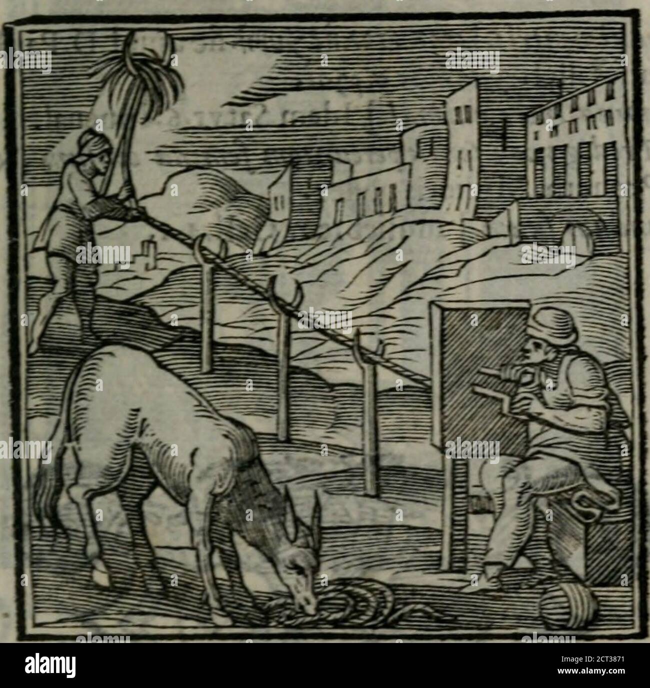 Philoxenus hi-res stock photography and images - Alamy