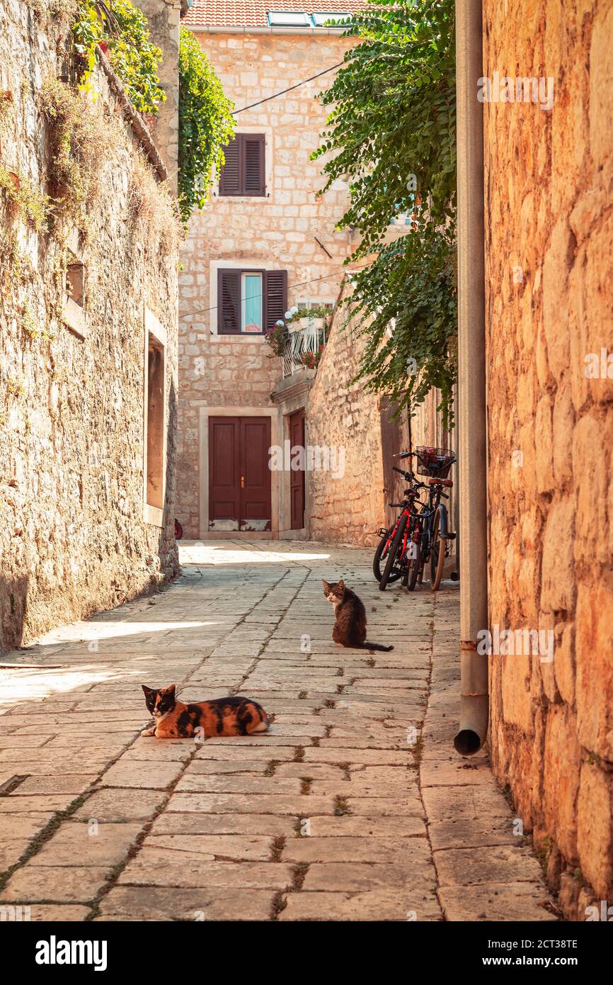 Narrow street of Stari Grad on Hvar island, Croatia Stock Photo - Alamy