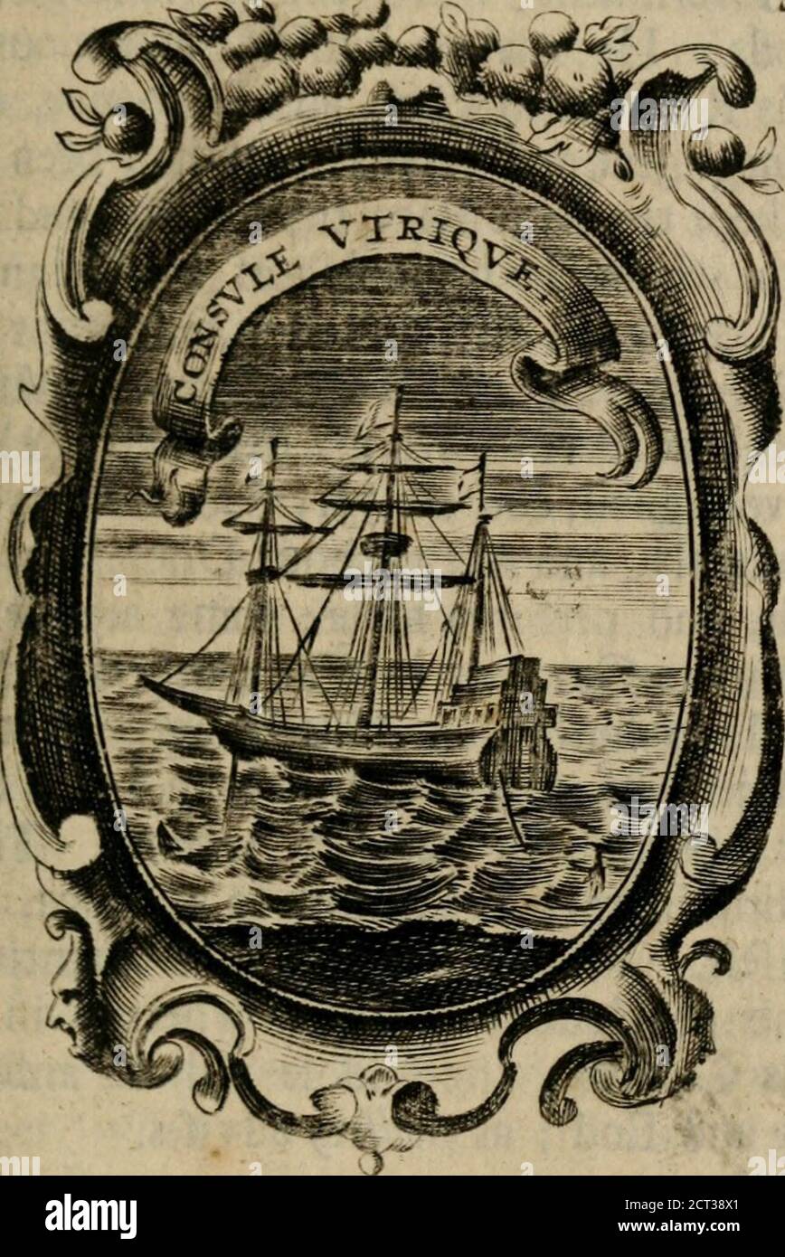 Firii hi-res stock photography and images - Alamy