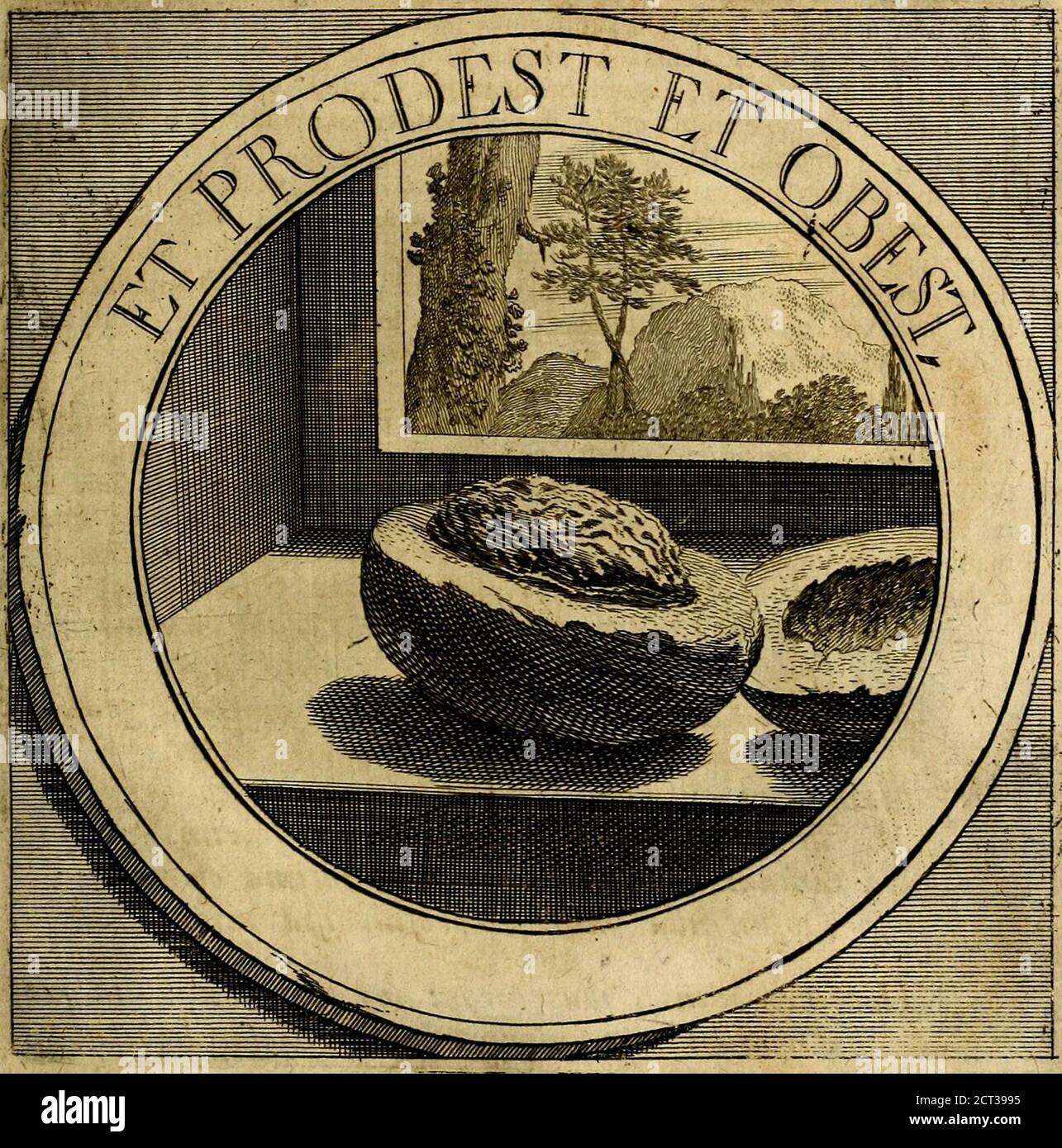 Fide et arte hi-res stock photography and images - Alamy