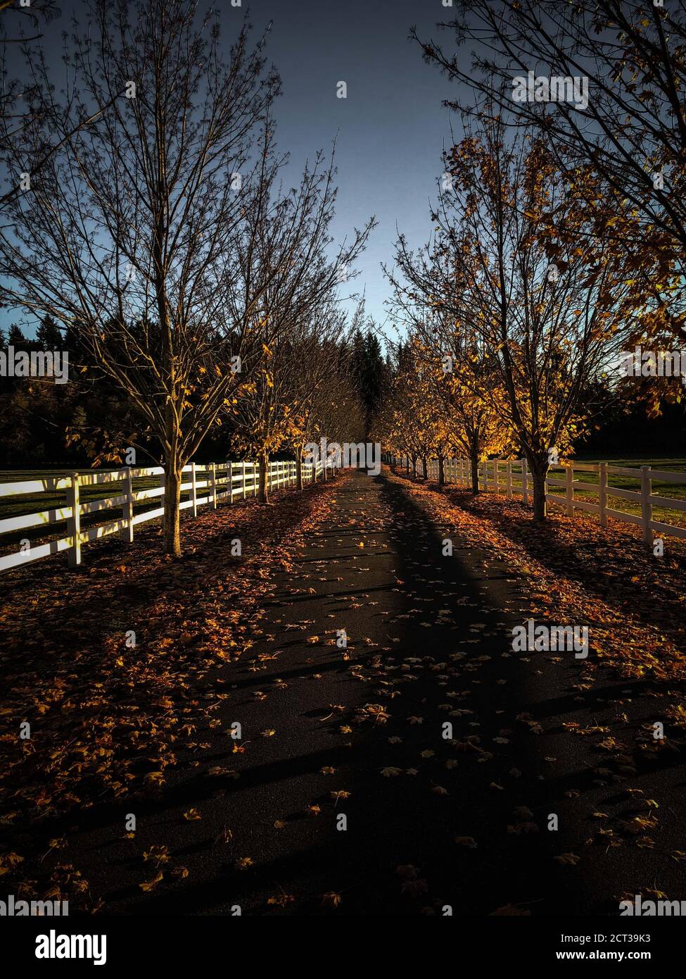 Roy farm hi-res stock photography and images - Alamy