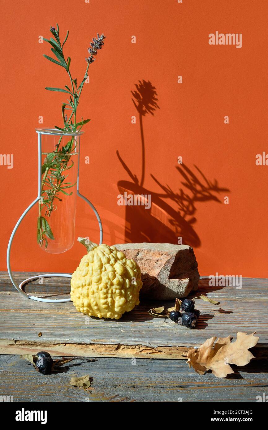 Modern Autumn brick podium with natural decor and hard shadows Stock ...