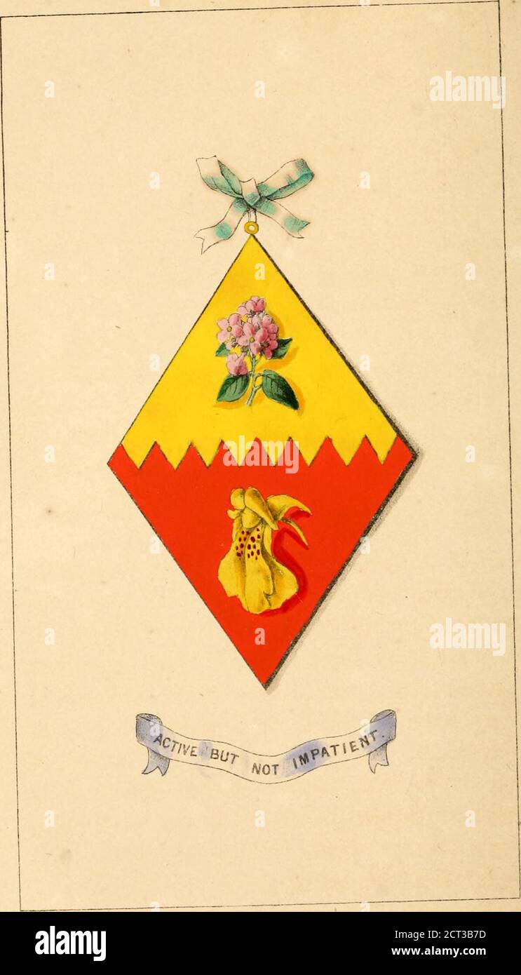 National emblems of great britain hi-res stock photography and images ...