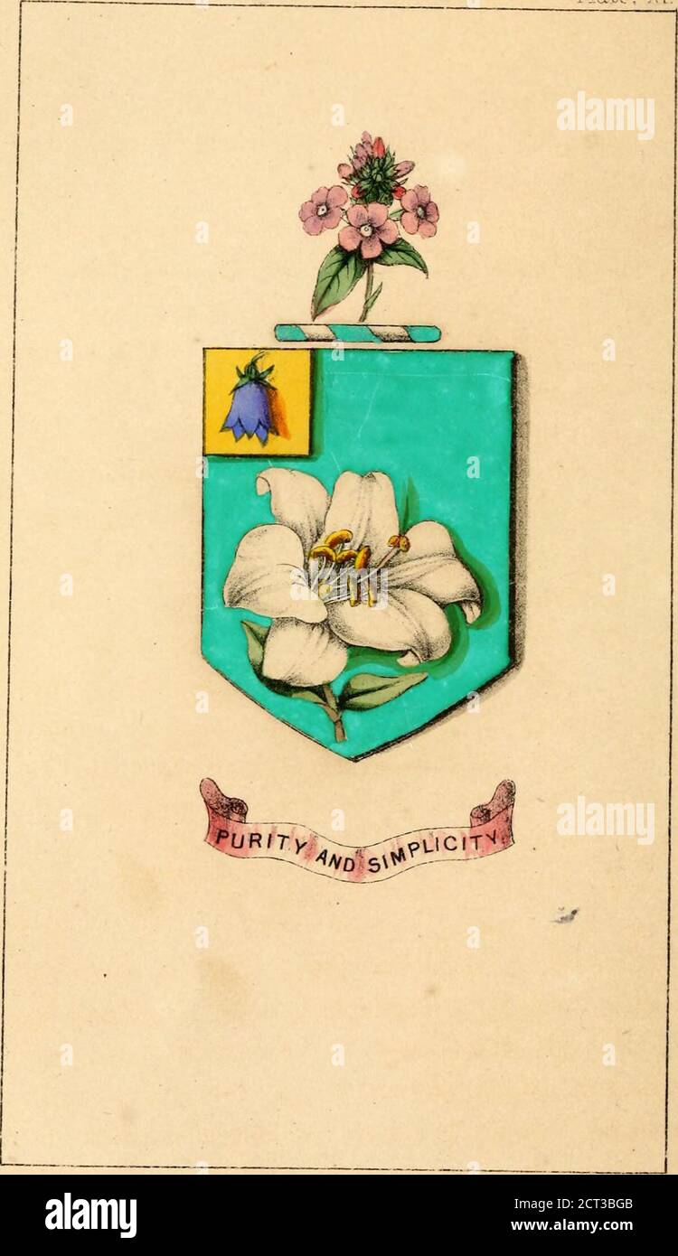 Combined heraldry hi-res stock photography and images - Alamy