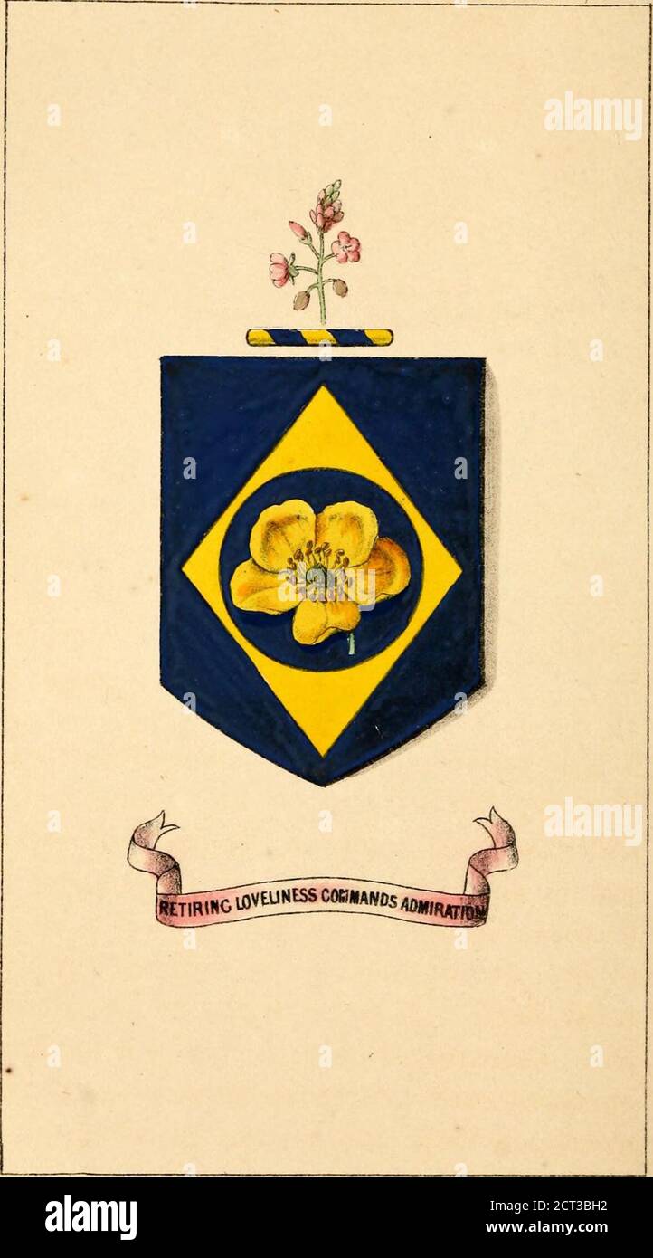 Primulavulgaris hi-res stock photography and images - Alamy