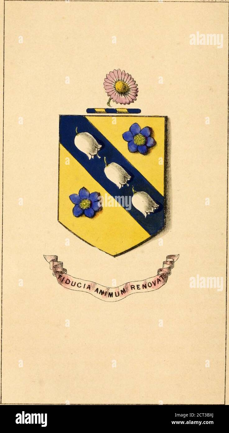 Combined heraldry hi-res stock photography and images - Alamy