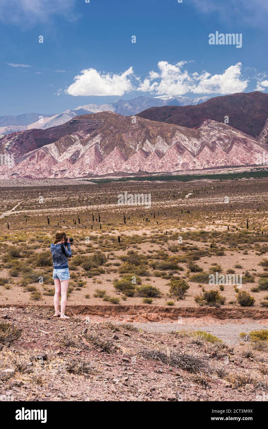 Tourist at Cactus National Park (Parque Nacional Los Cardones), Cachi ...