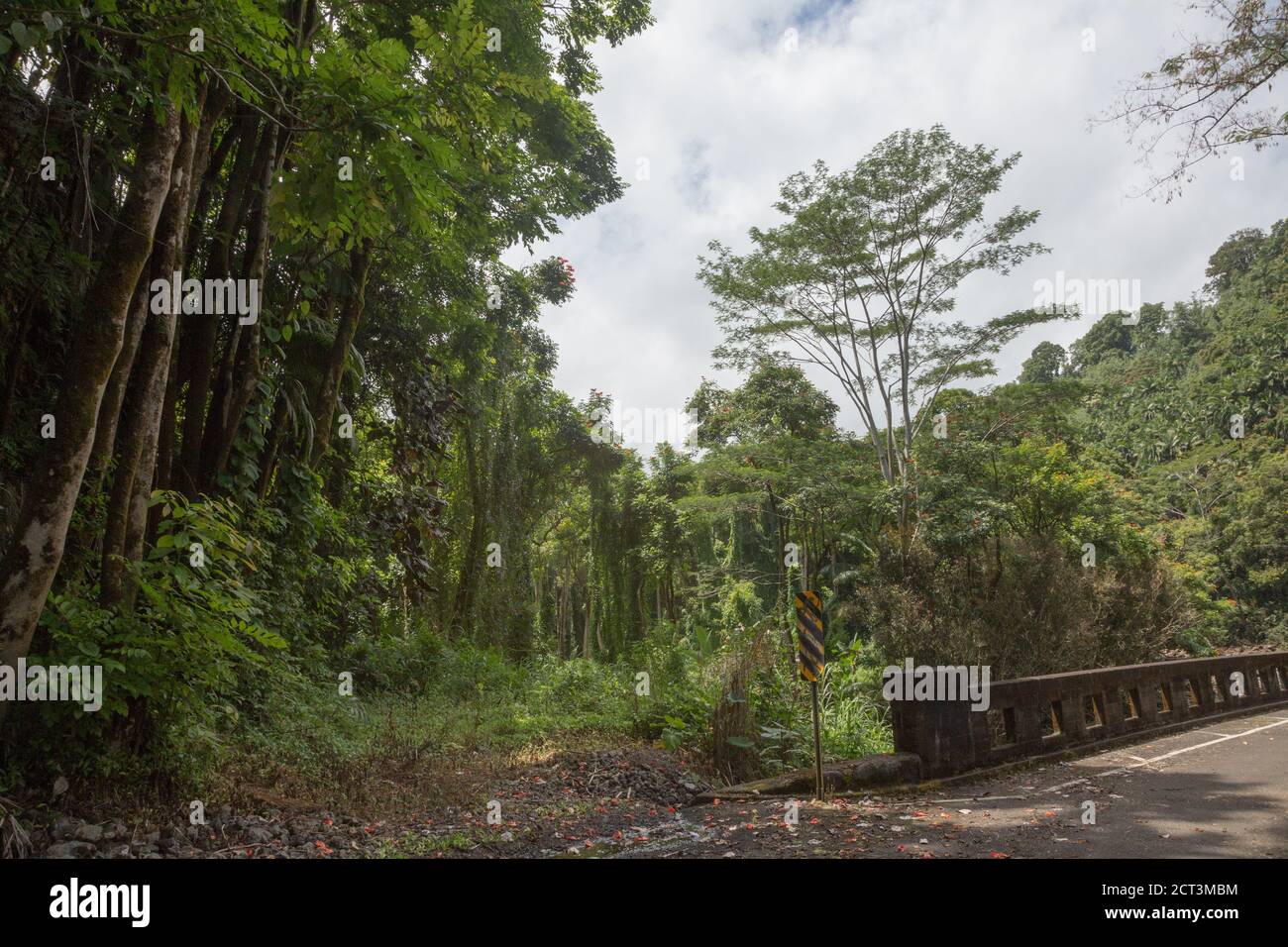 Hakalau Bay, Homakua Coast, Hawaii Stock Photo - Alamy