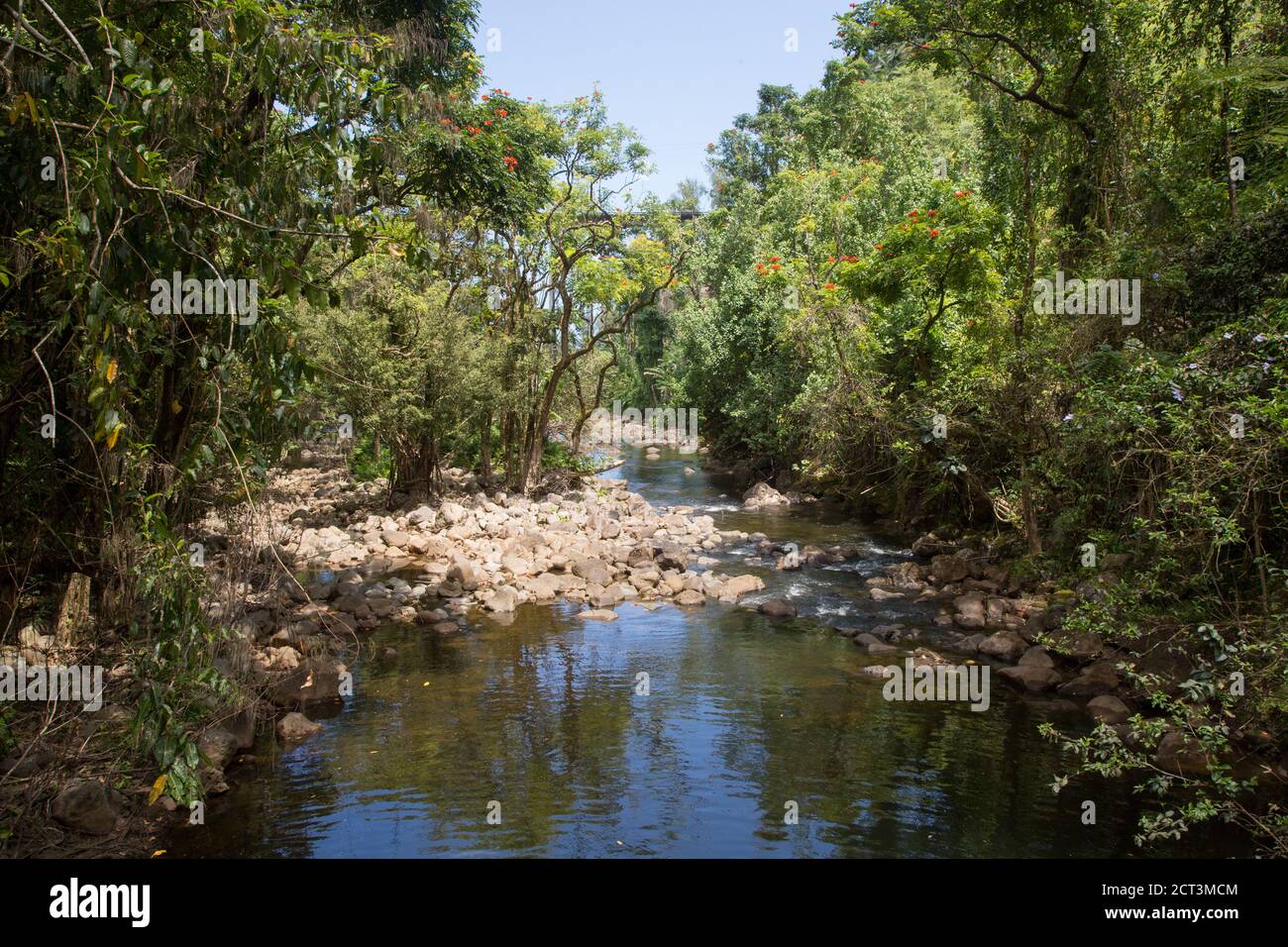 Hakalau Bay, Homakua Coast, Hawaii Stock Photo - Alamy