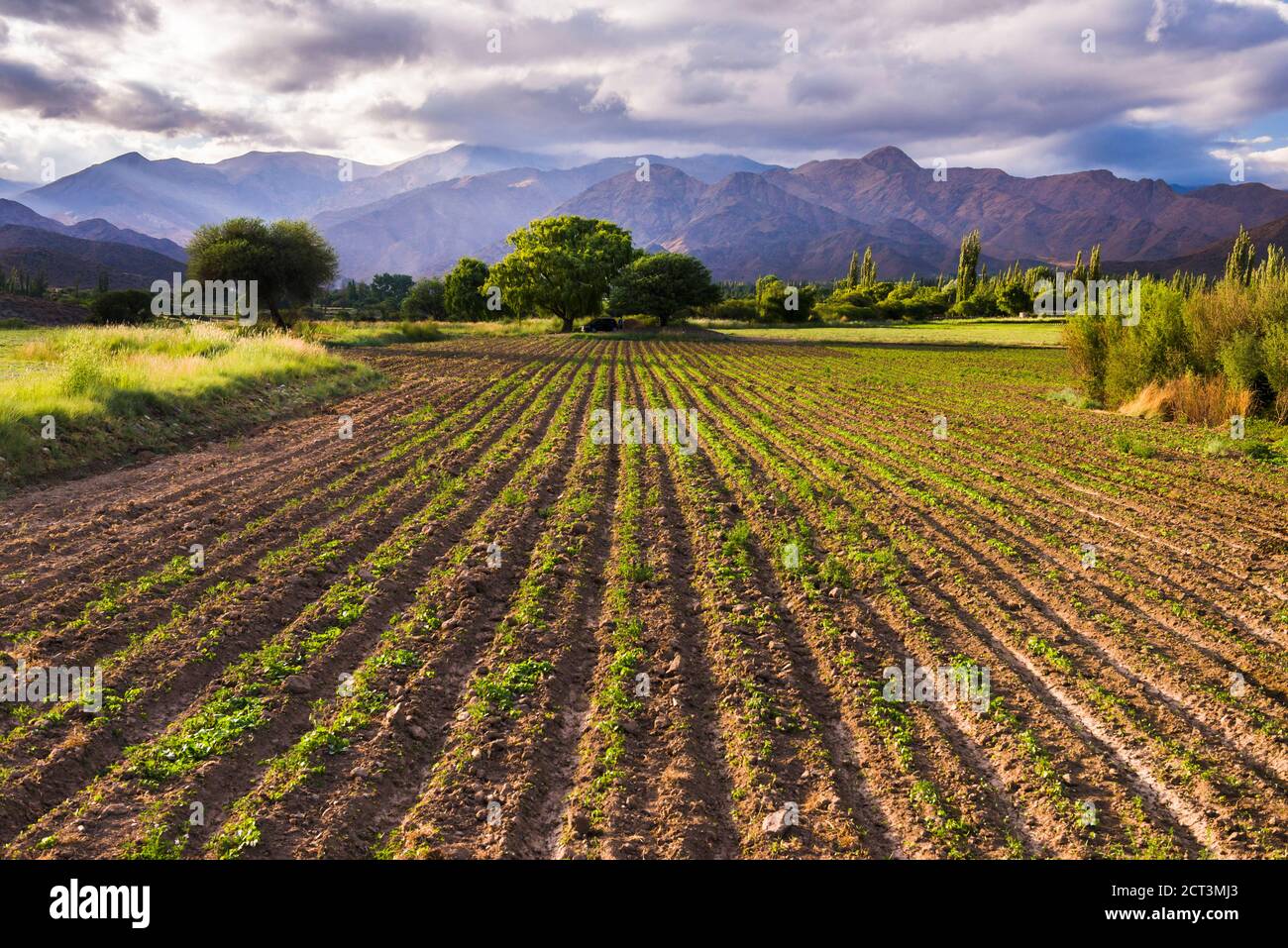 Rural Cachi Valley farmland landscape with Andes Mountains and dramatic ...