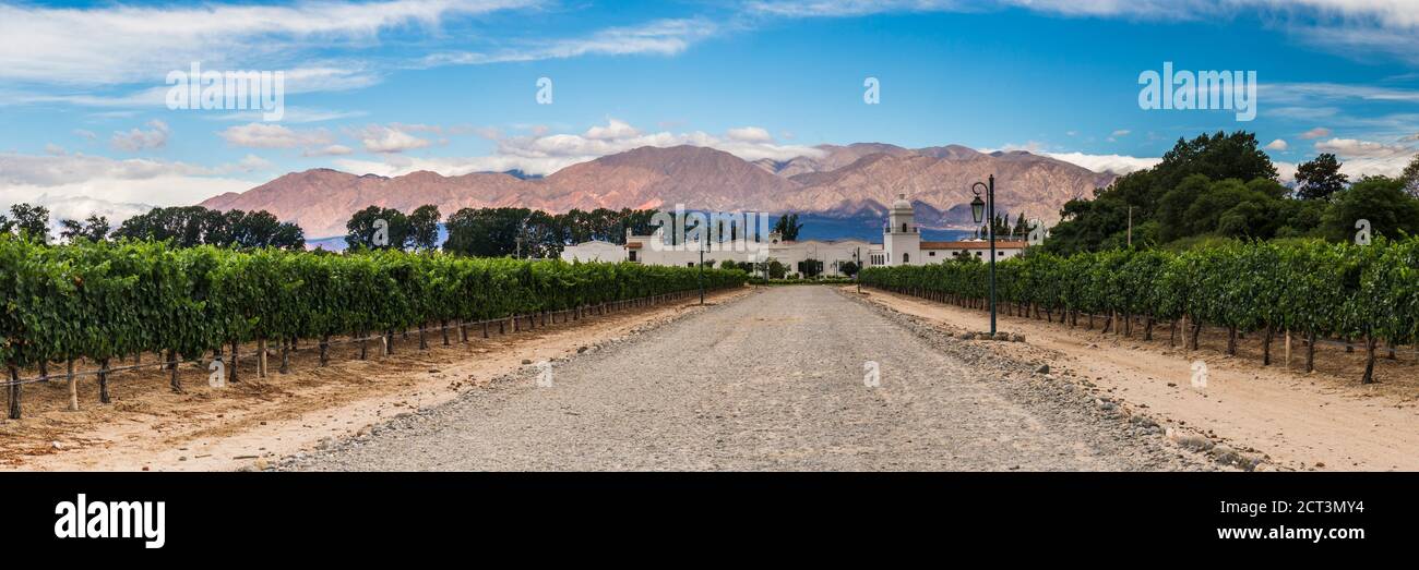 Bodega El Esteco, a winery and vineyard in Cafayate, Salta Province ...