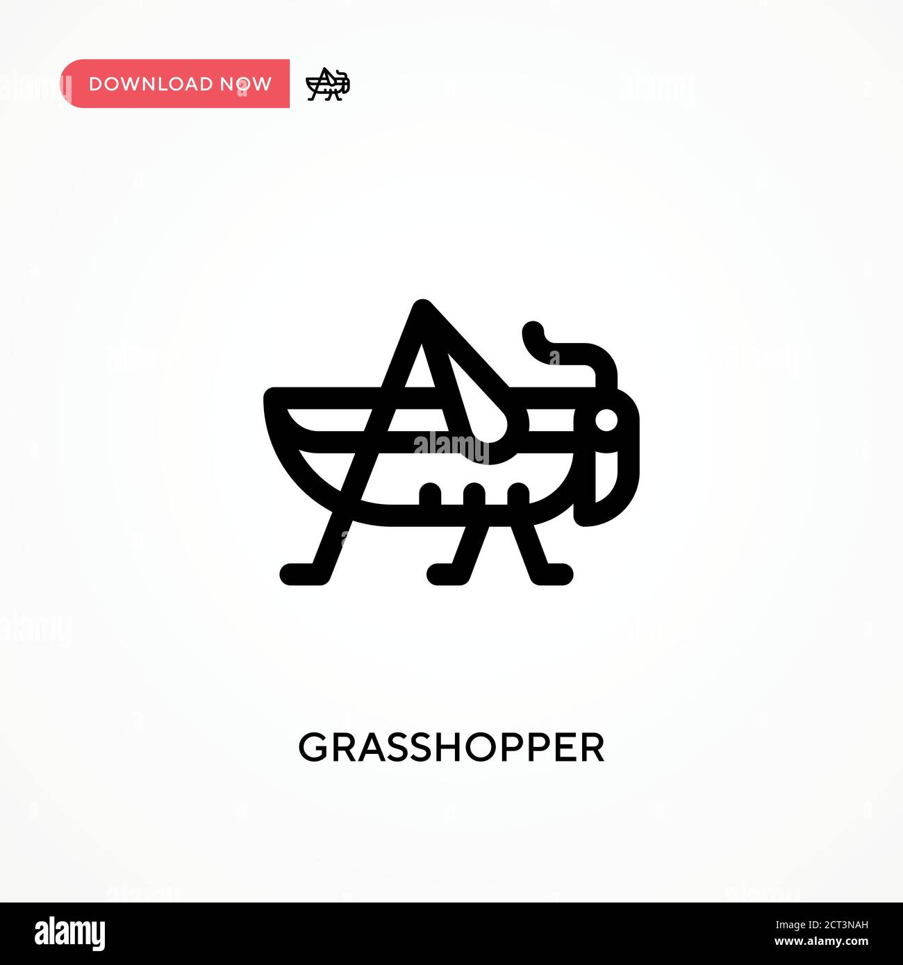 Insects side view Stock Vector Images - Alamy