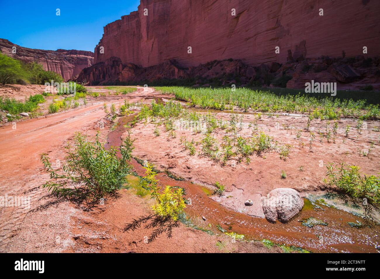 Talampaya Gorge, Talampaya National Park, La Rioja Province, North ...