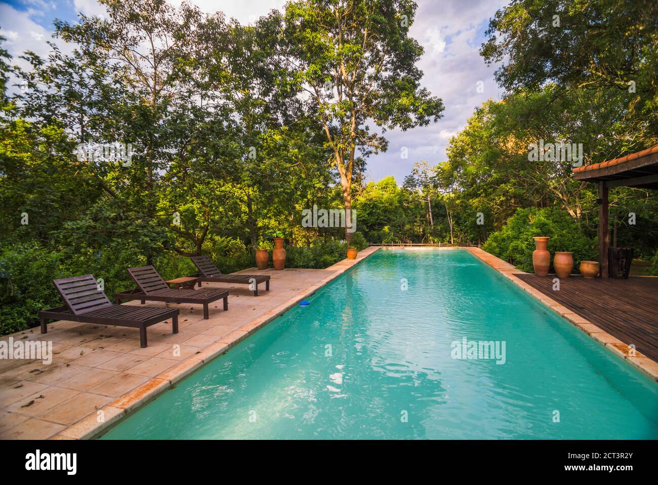 Swiming pool in the rainforest at accommodation near Iguazu Falls and ...