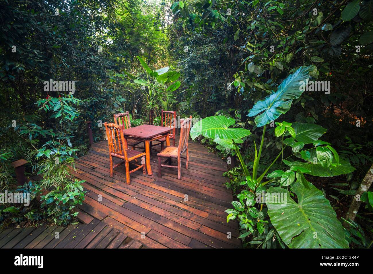 Outdoor seating area with table and chairs in rainforest accommodation ...