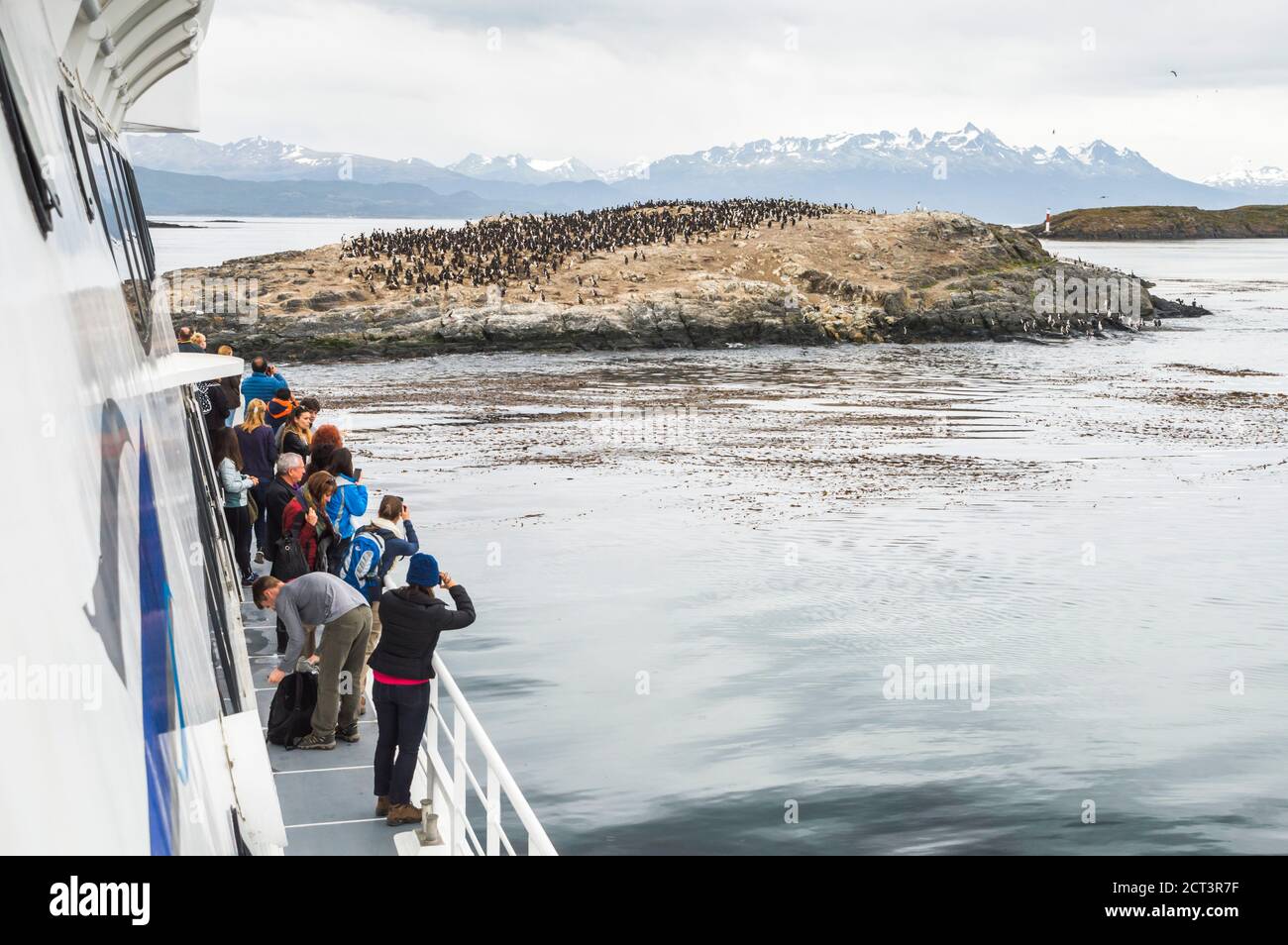 Beagle Channel cruise observing cormorants, Ushuaia, Tierra Del Fuego ...