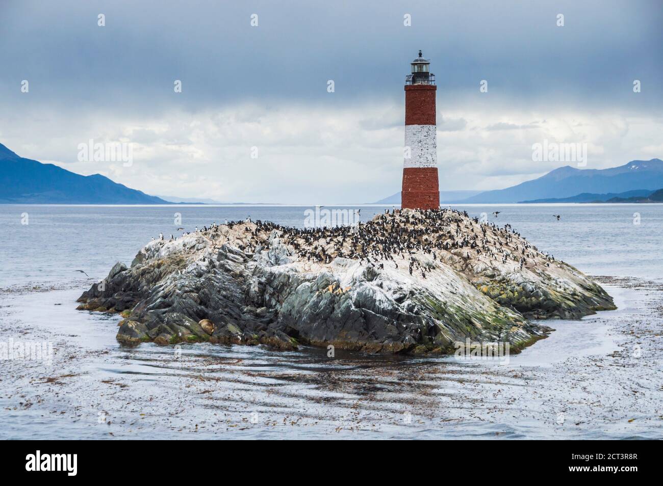 Les eclaireurs lighthouse ushuaia argentina hi-res stock photography ...