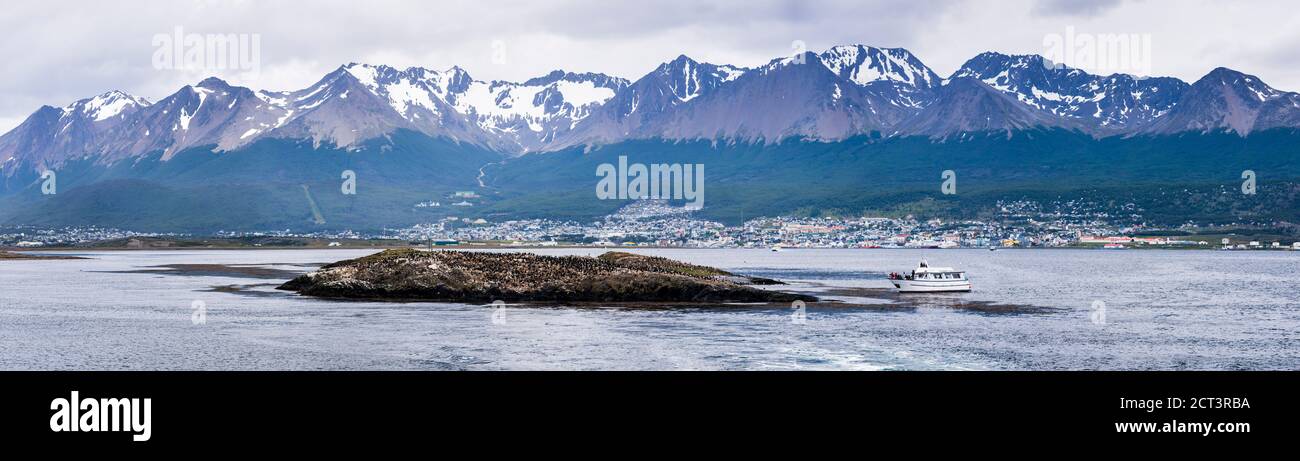 Cormorant colony, Ushuaia in the Beagle Channel (Beagle Strait), Tierra ...