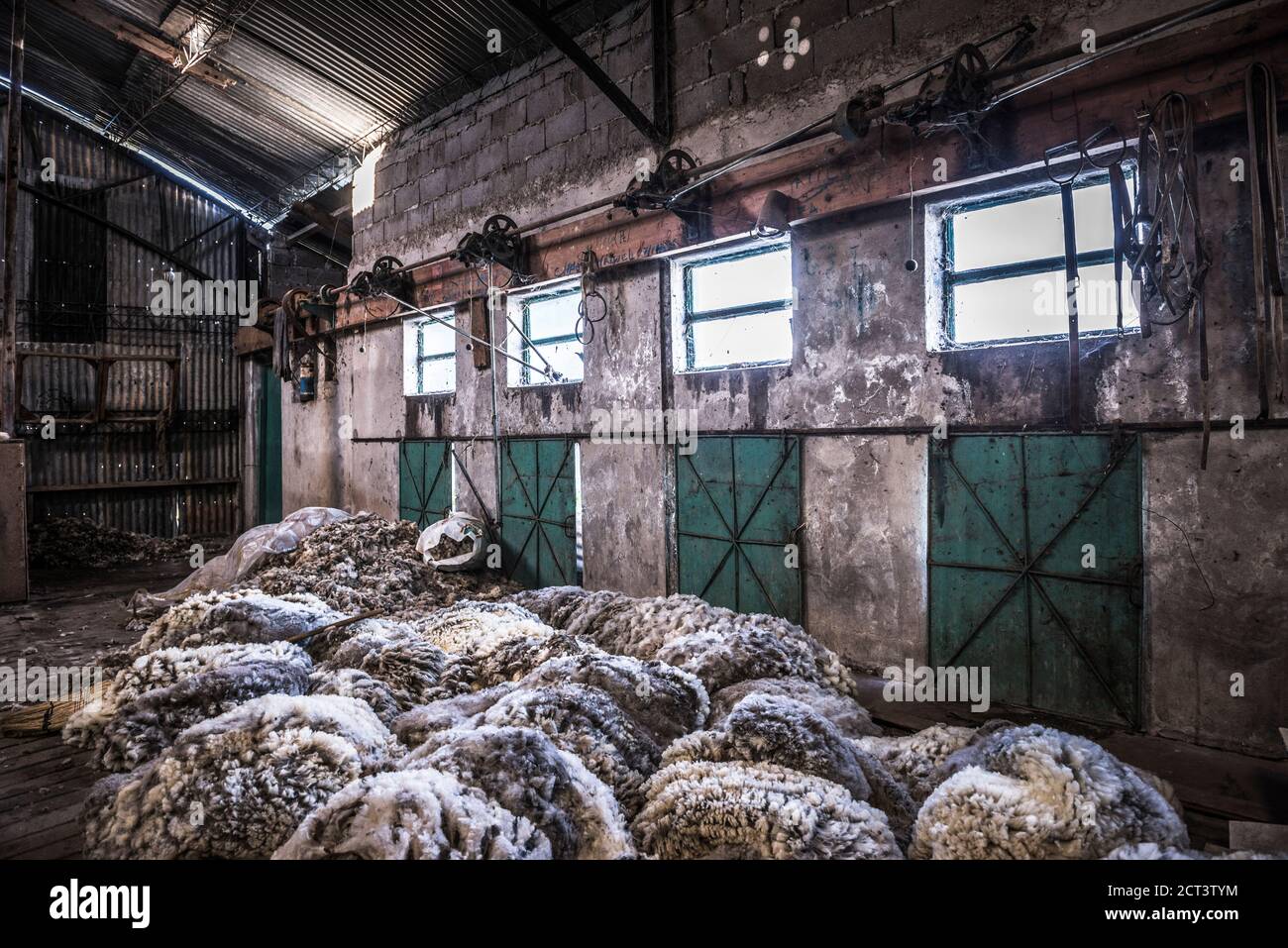 Inside the sheep shearing shed at Estancia La Oriental, Perito Moreno ...