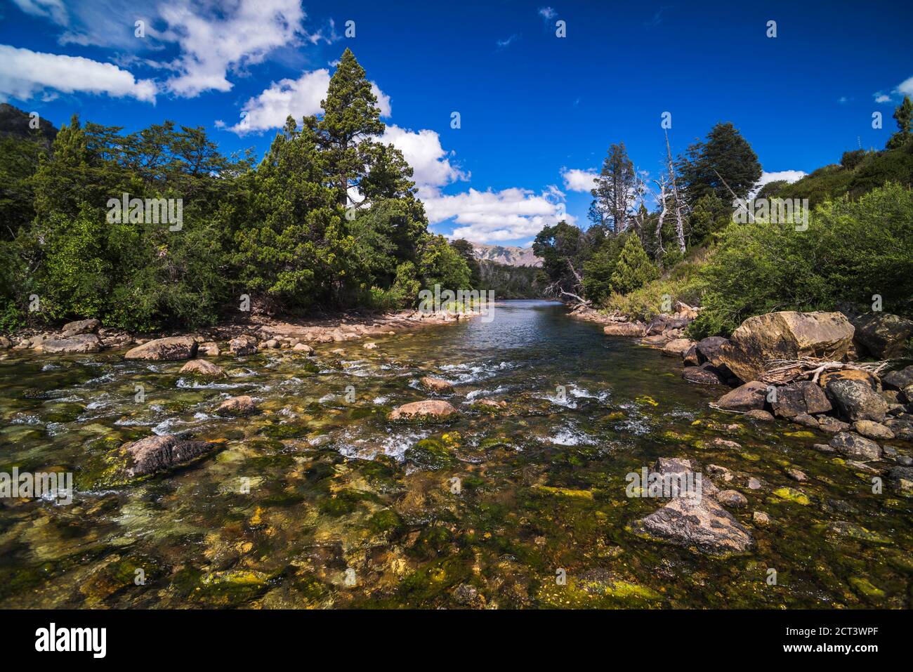 Beautiful Andes Mountains and river landscape, San Martin de los Andes ...