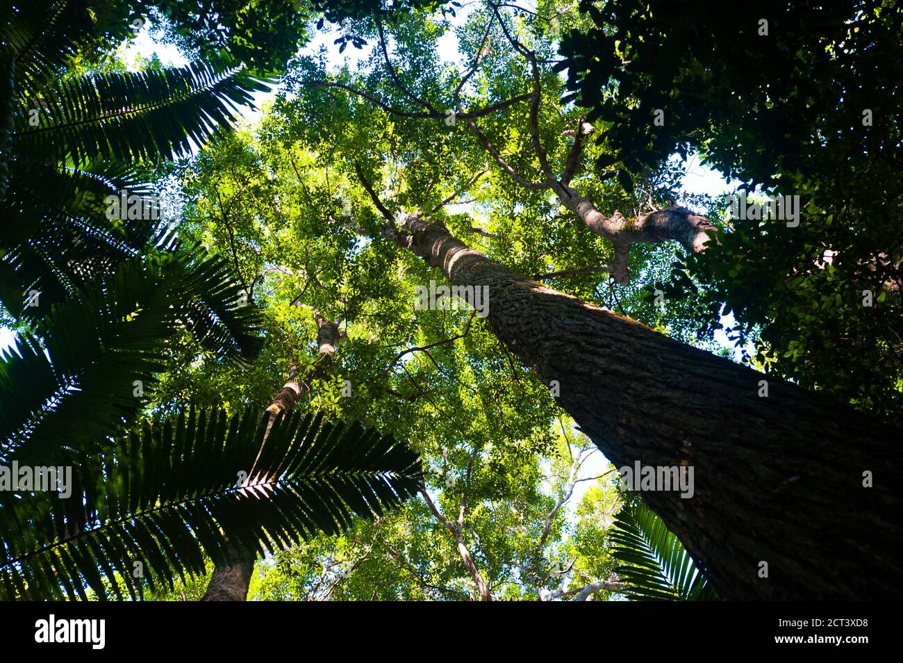 Australian cultural heritage hi-res stock photography and images - Alamy