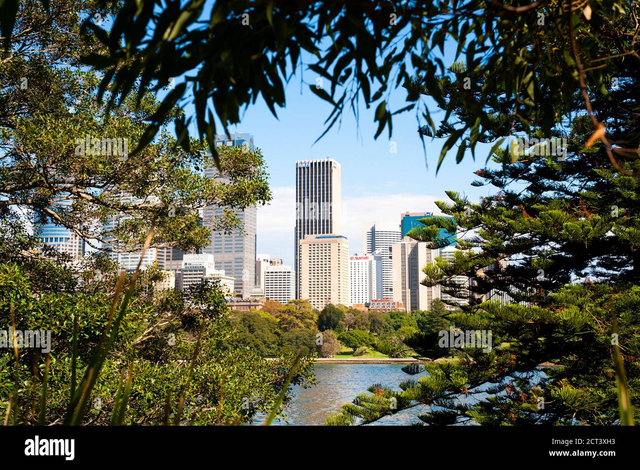 View of Sydney CBD from Sydney Royal Botanic Gardens, Australia Stock ...