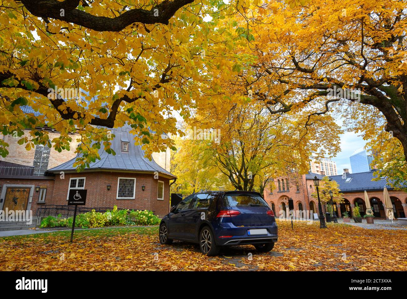 Car parked under tree hi-res stock photography and images - Alamy