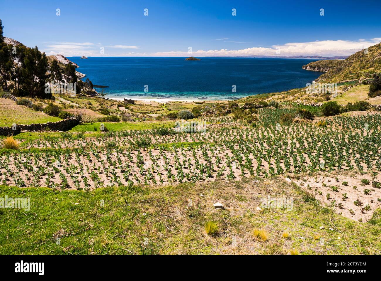 Farm land on Isla del Sol (Island of the Sun), Lake Titicaca, Bolivia ...