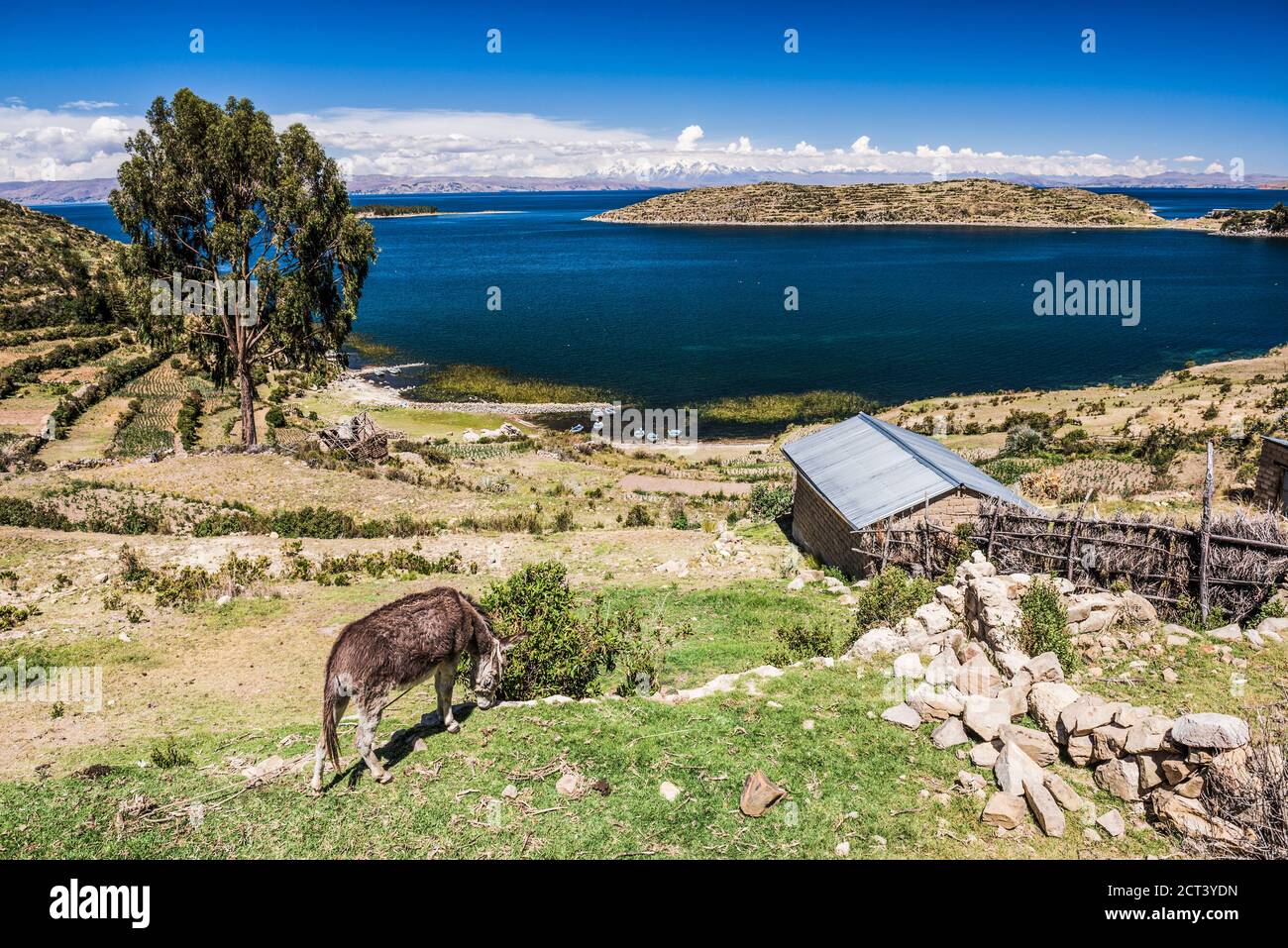 Farm land on Isla del Sol (Island of the Sun), Lake Titicaca, Bolivia ...