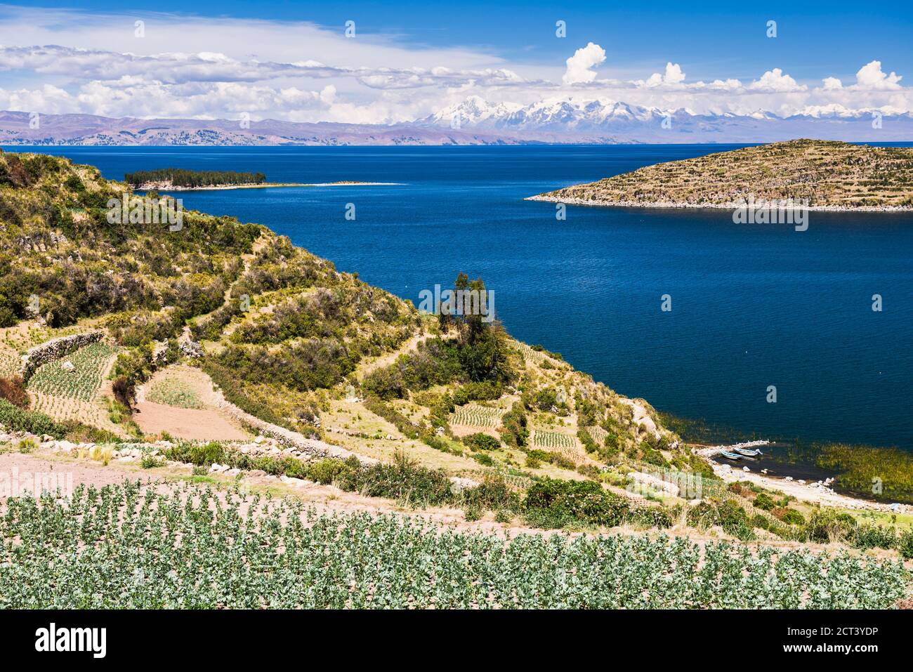 Farm land on Isla del Sol (Island of the Sun), Lake Titicaca, Bolivia ...