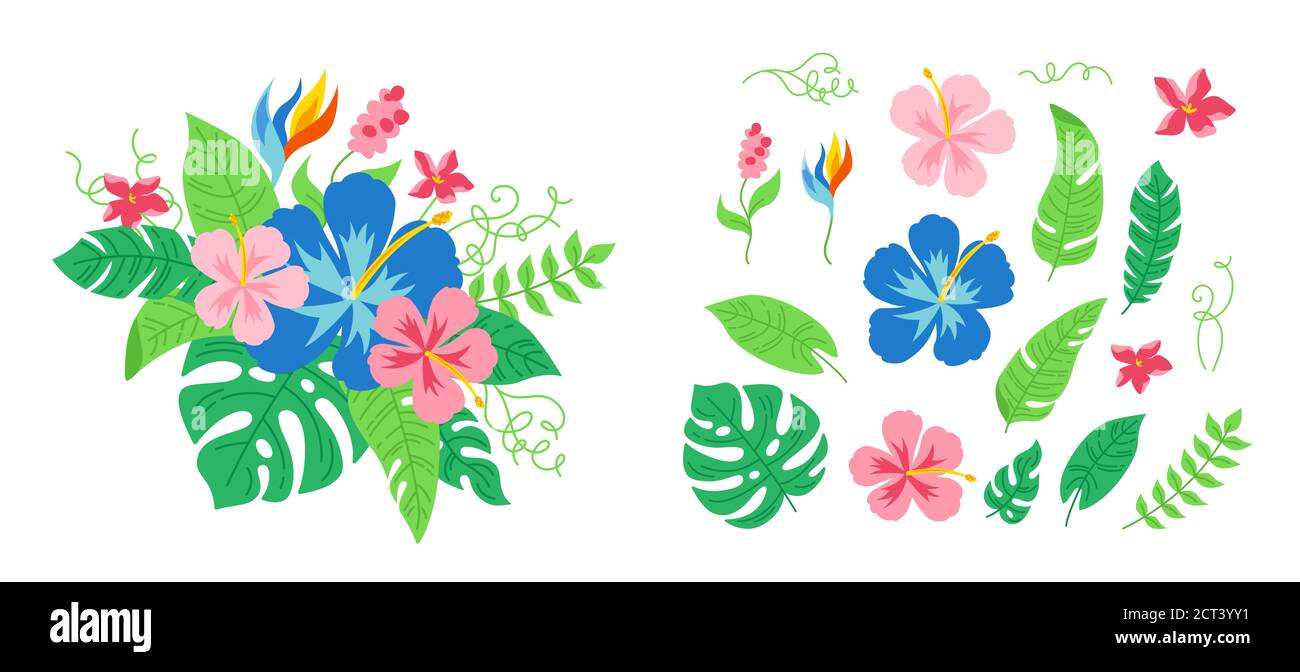 Hawaiian tropical bouquet flowers. Exotic cartoon card jungle. Floral ...