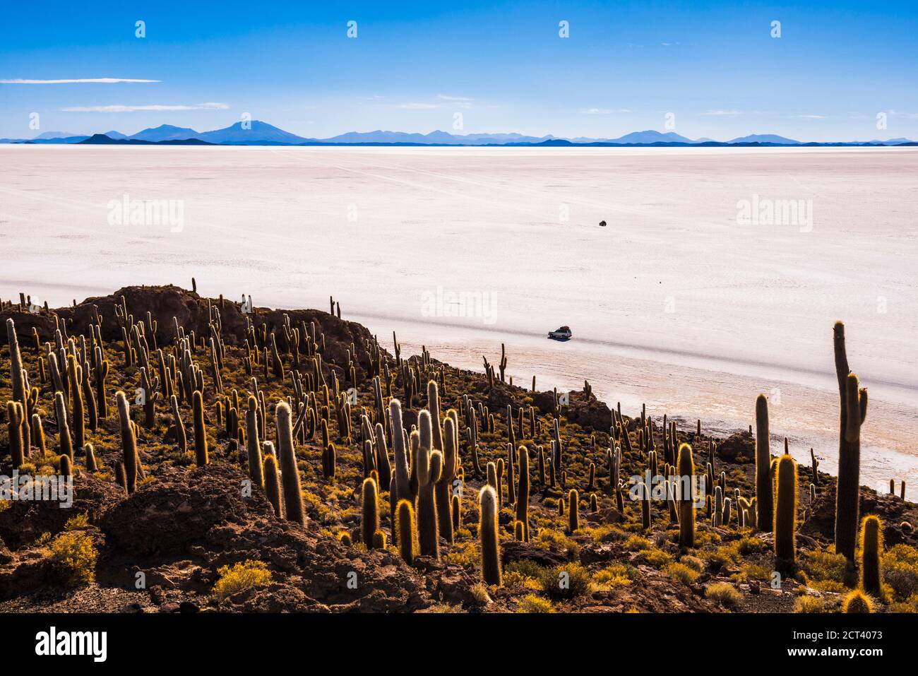 Cactus and Isla Incahuasi (aka Fish Island or Inka Wasi), Uyuni Salt ...