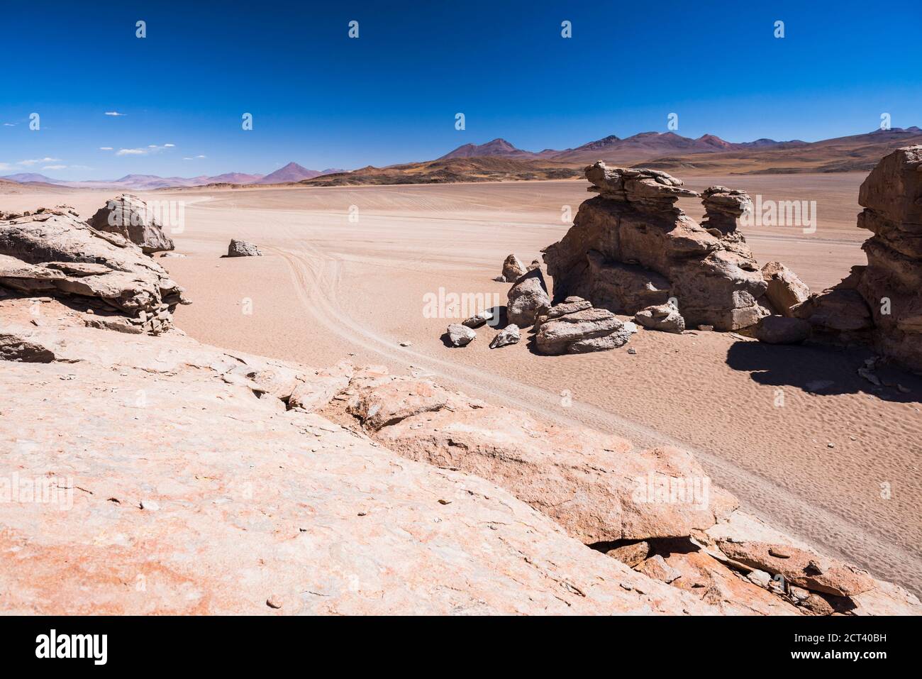Lava cooled rock formations in the Siloli Desert (part of Atacama ...