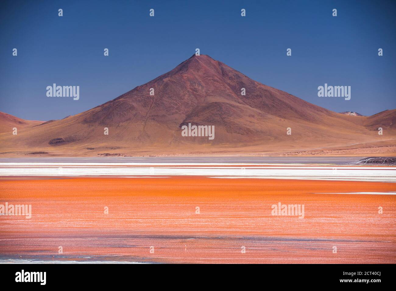 Red Lagoon (Laguna Colorada), a salt lake in the Altiplano of Bolivia ...