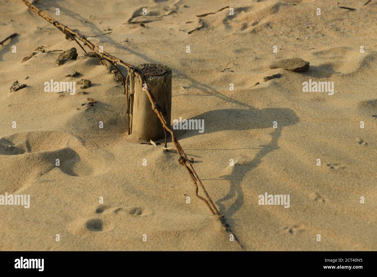 Rusty barbwire and wooden pole buried by sand, weathering, close up ...