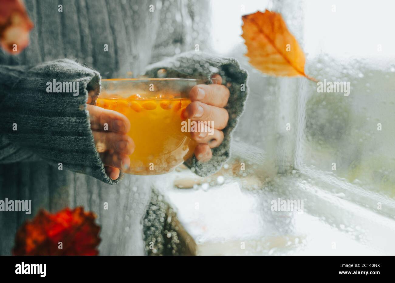 Rainy season tea and rain hi-res stock photography and images - Alamy