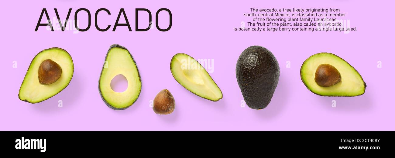 Modern creative avocado collage with simple text on solid color ...