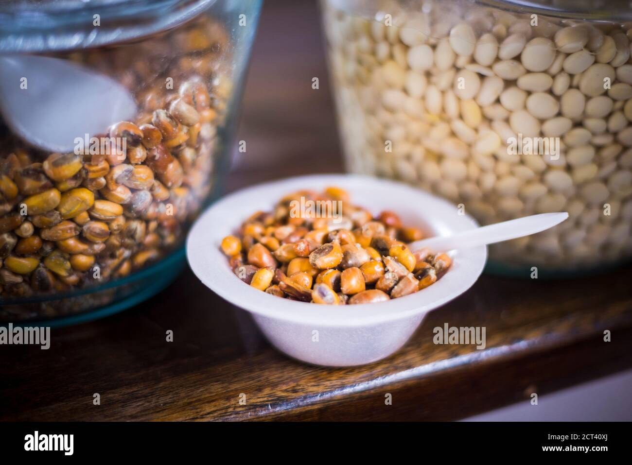 Cancha, a roasted corn snack in Otavalo Market, Imbabura Province ...