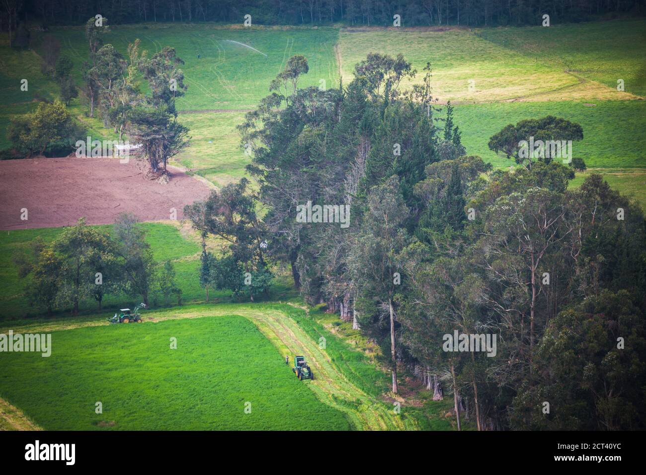 Farmland at Hacienda Zuleta, Imbabura, Ecuador, South America Stock ...