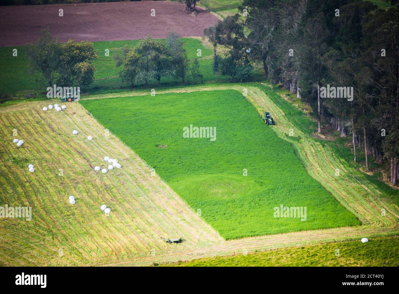 Farmland at Hacienda Zuleta, Imbabura, Ecuador, South America Stock ...