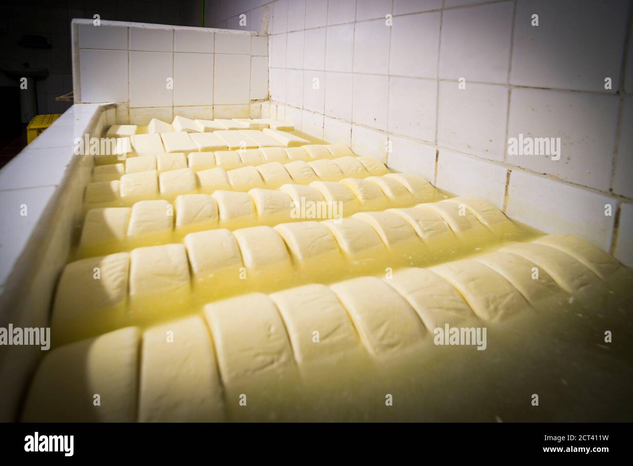 Cheese soaking in salt water at the Cheese Factory on the farm at ...