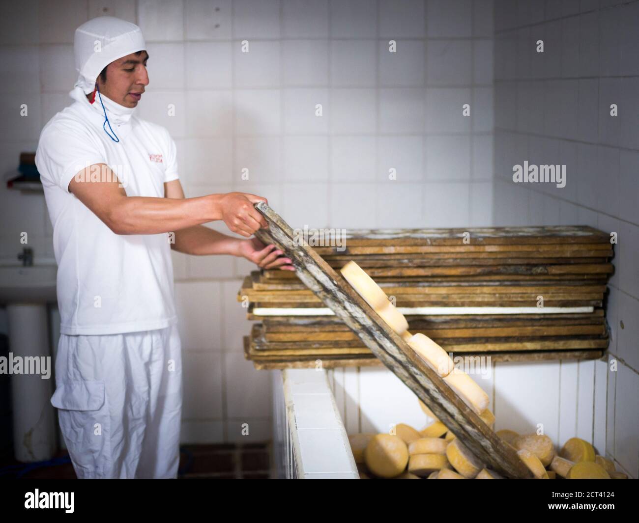 Cheese soaking in salt water at the Cheese Factory on the farm at ...