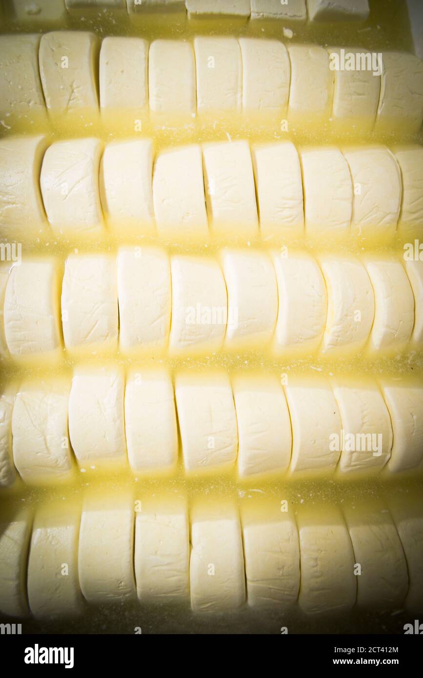 Cheese soaking in salt water at the Cheese Factory on the farm at ...