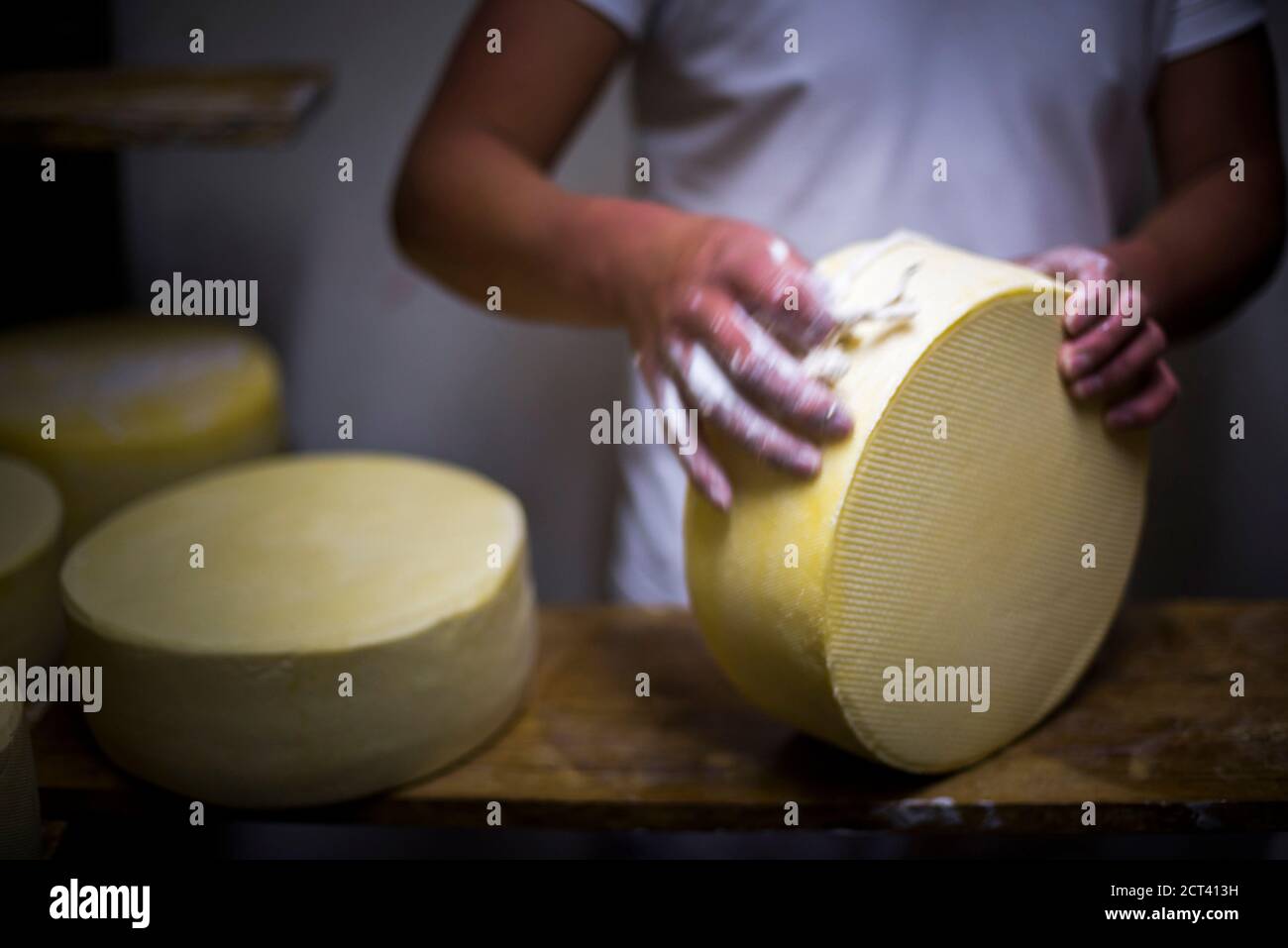 Cleaning cheese while it matures at the cheese factory at Hacienda ...