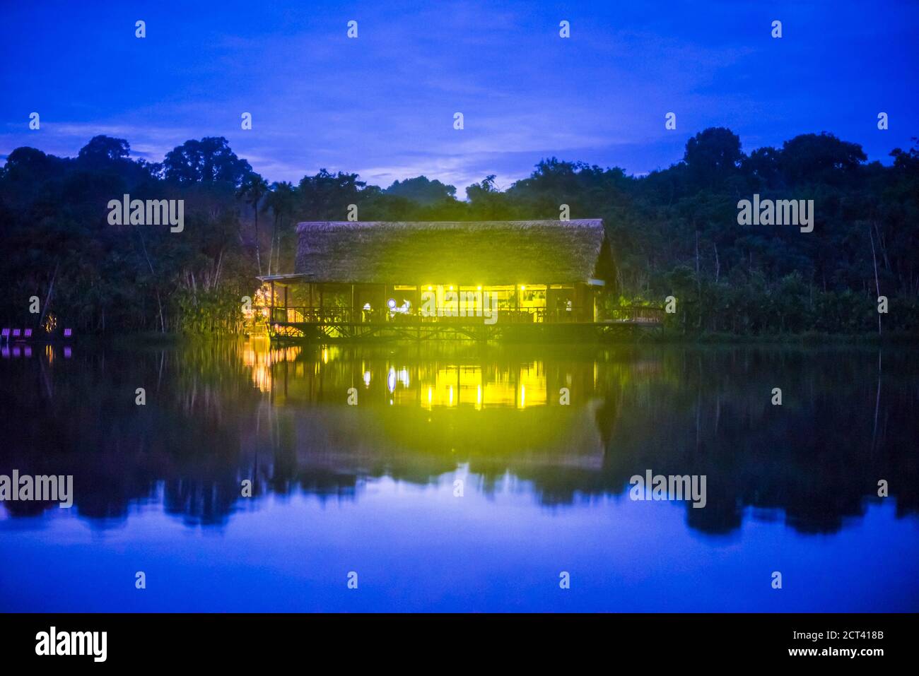 Sacha Lodge, Amazon Rainforest, Coca, Ecuador, South America Stock ...