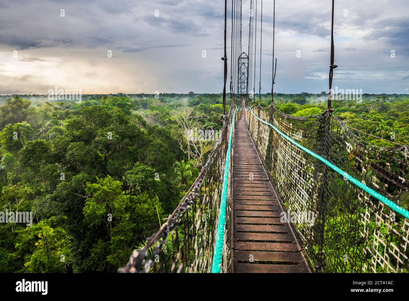 Jungle Canopy Walk in Amazon Rainforest at Sacha Lodge, Coca, Ecuador ...