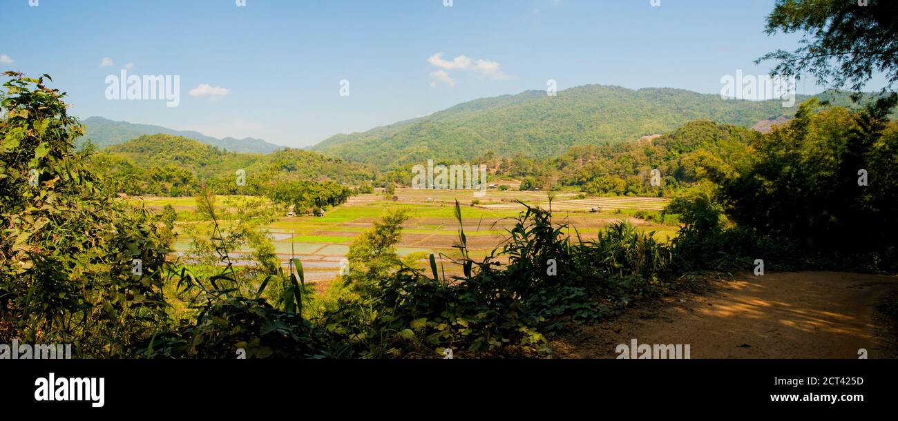 Panoramic Photo of Rice Paddy Fields in the Mountains Around Chiang Rai ...
