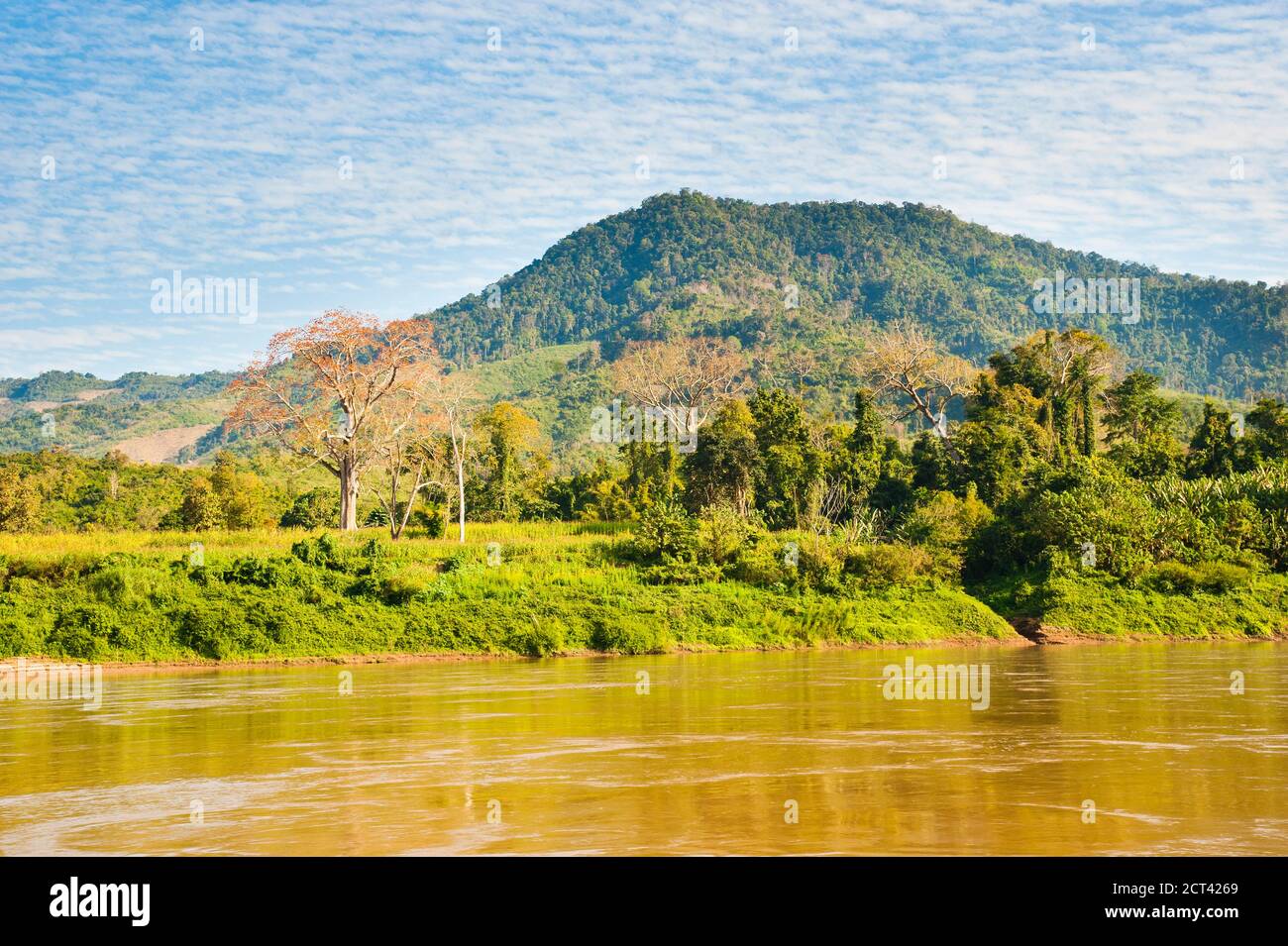 Scenery on the Mekong River Bank taken from the Slow Boat from Thailand ...