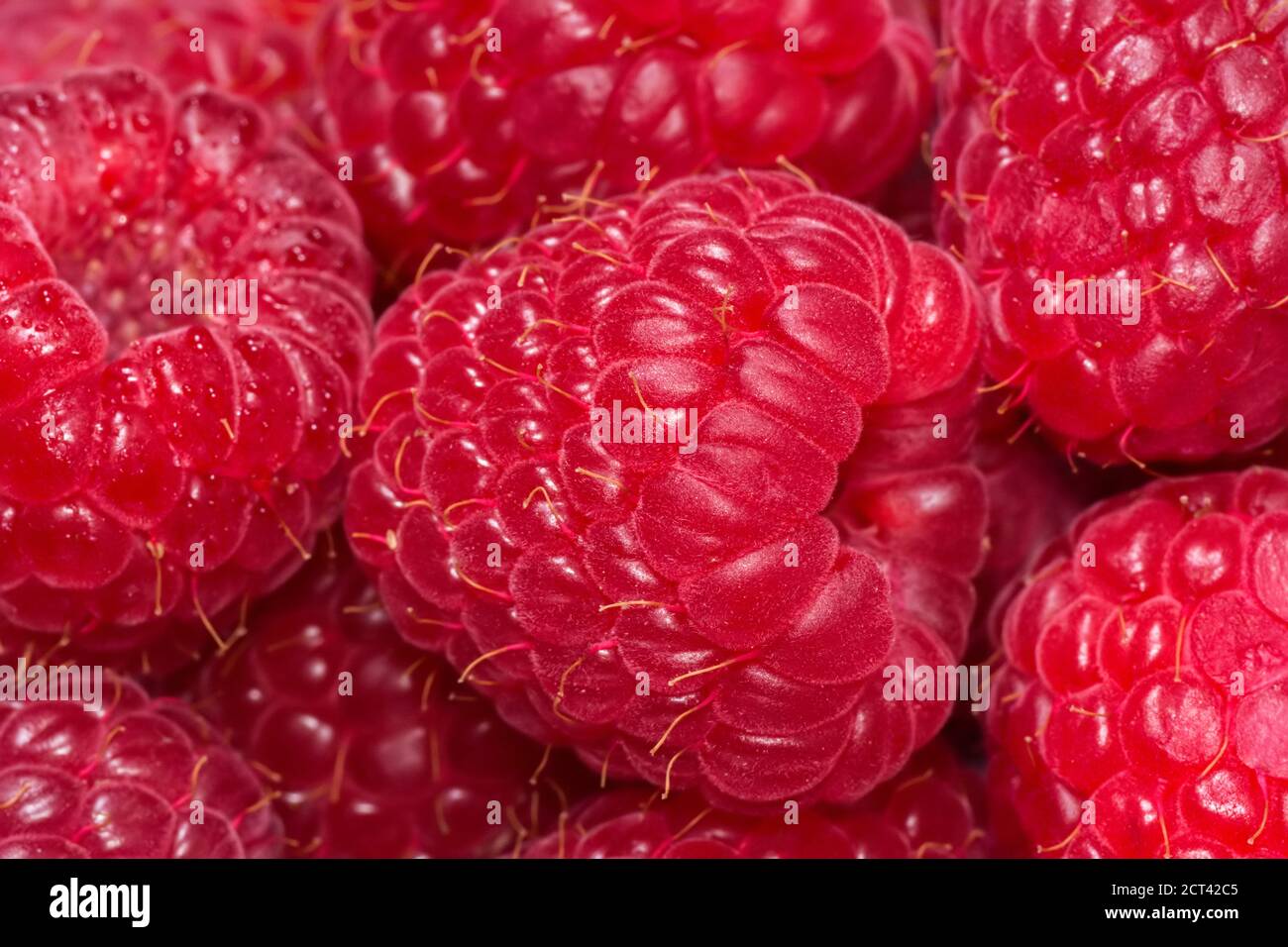 Fresh ripe raspberries closeup. Berry background Stock Photo - Alamy